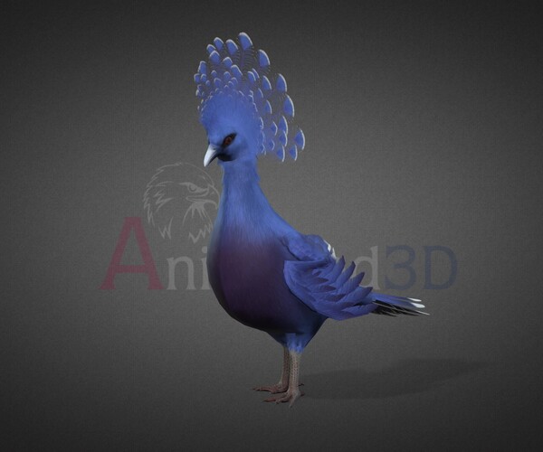 ArtStation - Peafowl-Idle1 | Game Assets