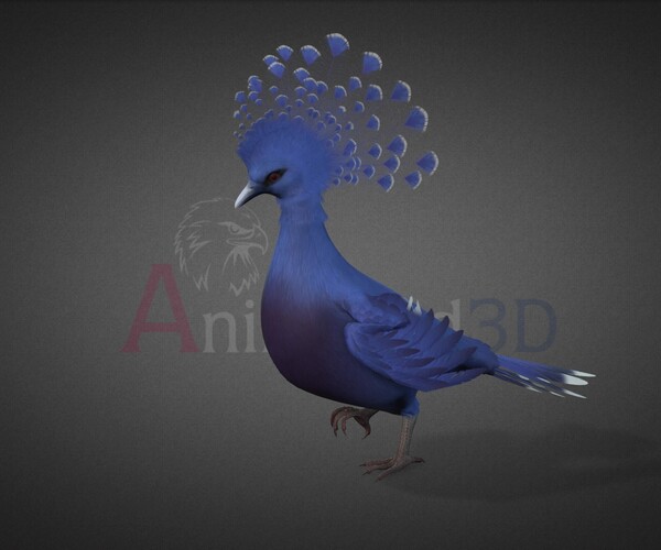 ArtStation - Peafowl-Walk | Game Assets