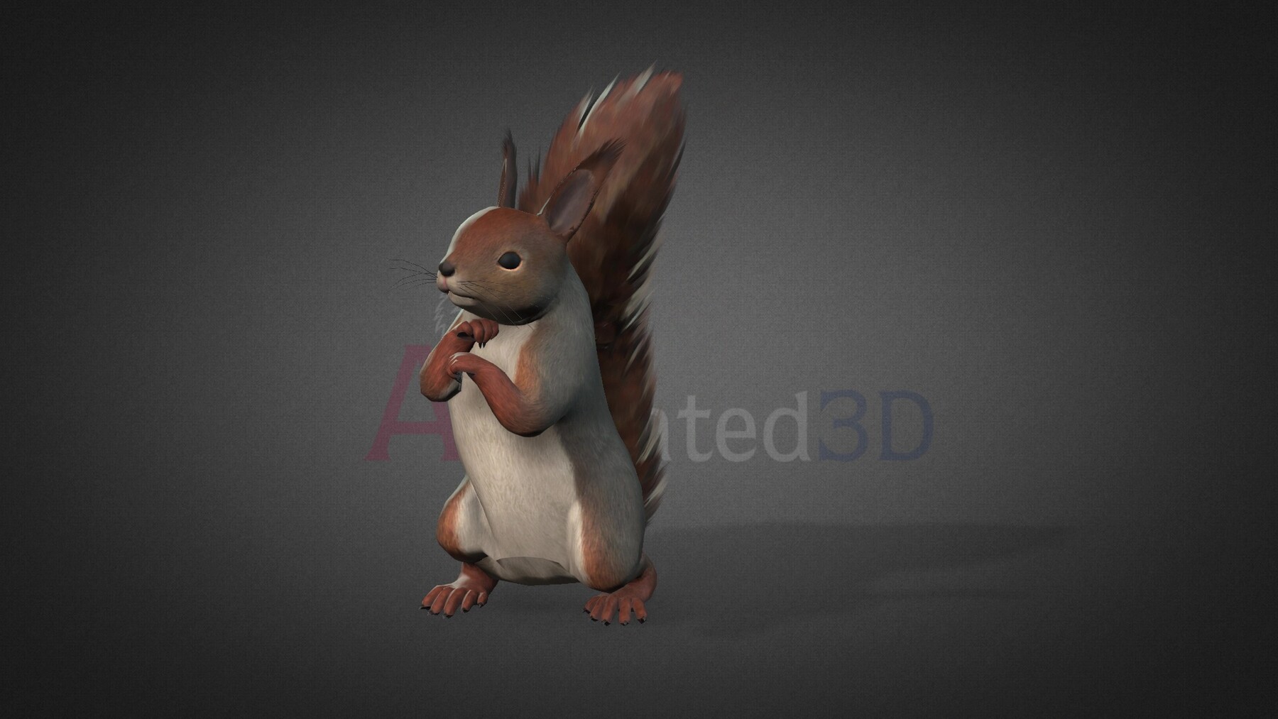 ArtStation - Squirrel-Idle1 | Game Assets