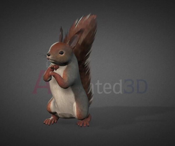 ArtStation - Squirrel-Idle1 | Game Assets