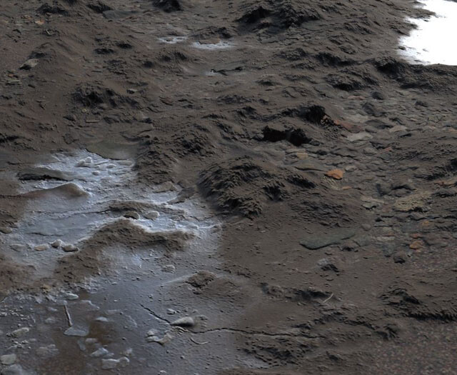 ArtStation - wet mud material real | Game Assets