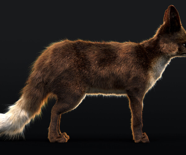 ArtStation - Baby Fox | Game Assets