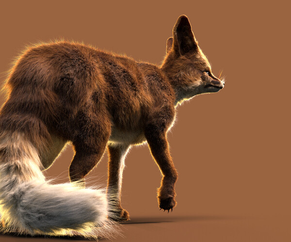 ArtStation - Baby Fox | Game Assets