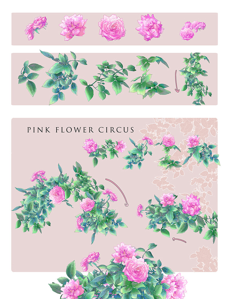 ArtStation - Chica Flower Brushes for ClipStudioPaint/36 PNG images ...