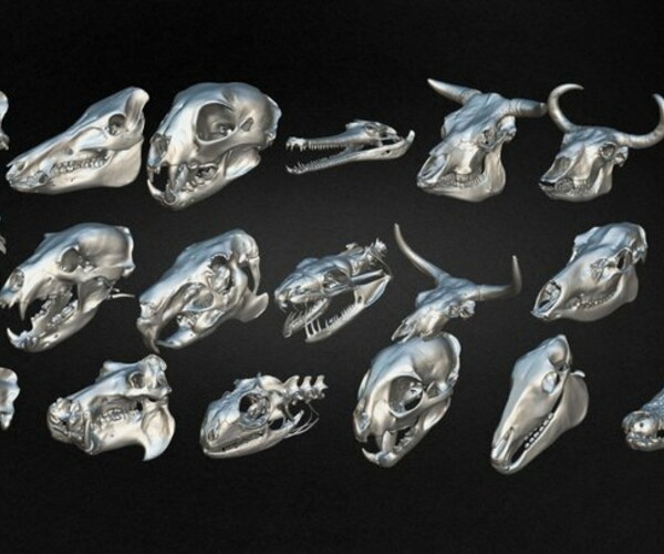 ArtStation - 20 Animal Skulls Collection 01 | Resources