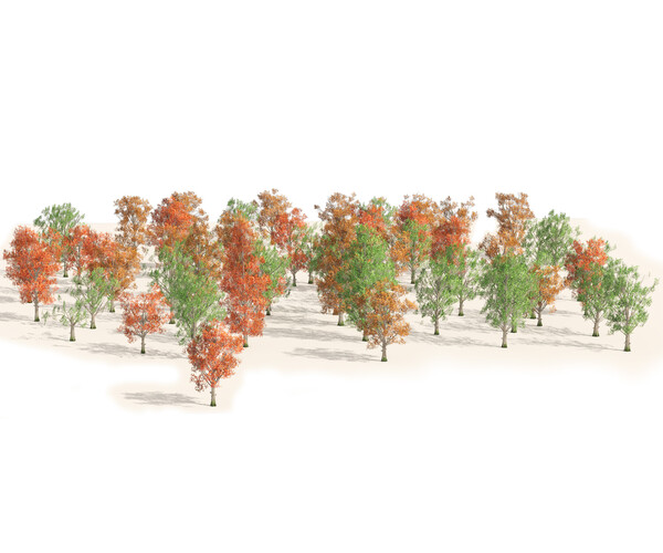 ArtStation - Acer Saccharum summer autumn forest trees | Game Assets