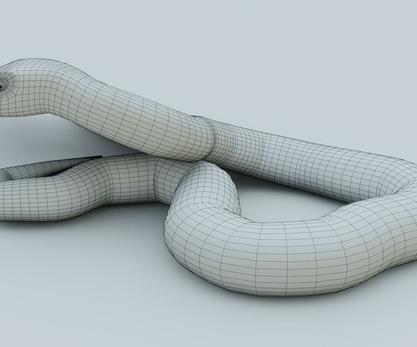 ArtStation - Python Snake - Rigged - Game Ready - PBR | Game Assets