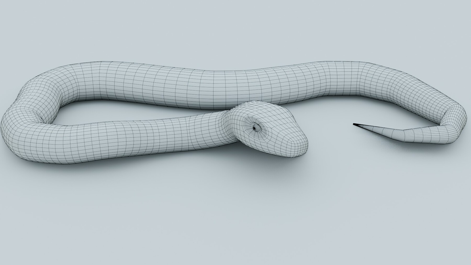 ArtStation - Python Snake - Rigged - Game Ready - PBR | Game Assets