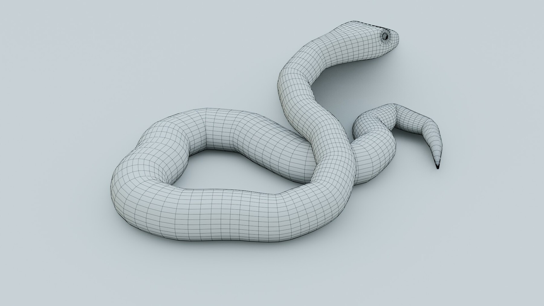 ArtStation - Python Snake - Rigged - Game Ready - PBR | Game Assets