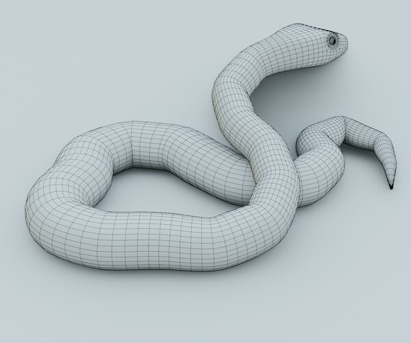 ArtStation - Python Snake - Rigged - Game Ready - PBR | Game Assets