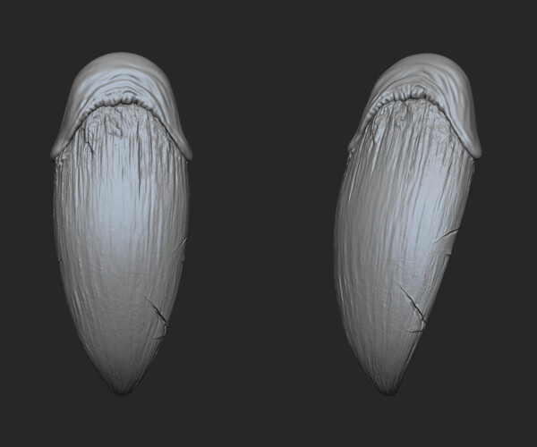 ArtStation - NAILS PACK vol.1 | Brushes