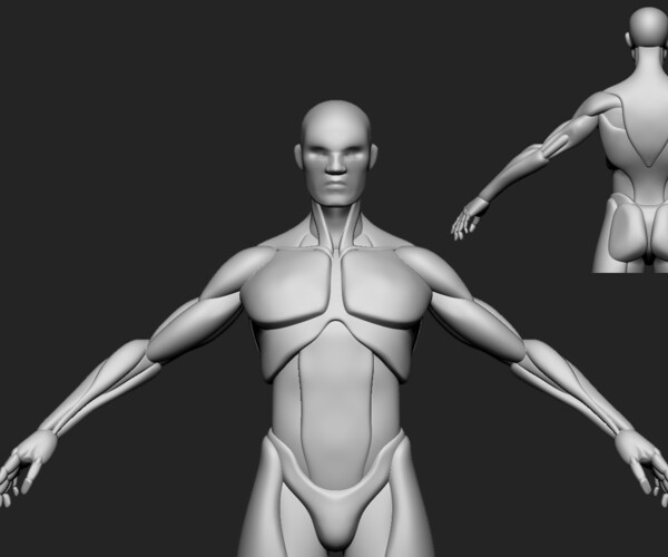 ArtStation - Male base mesh | Resources