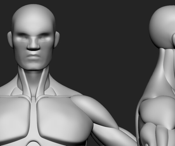 ArtStation - Male base mesh | Resources