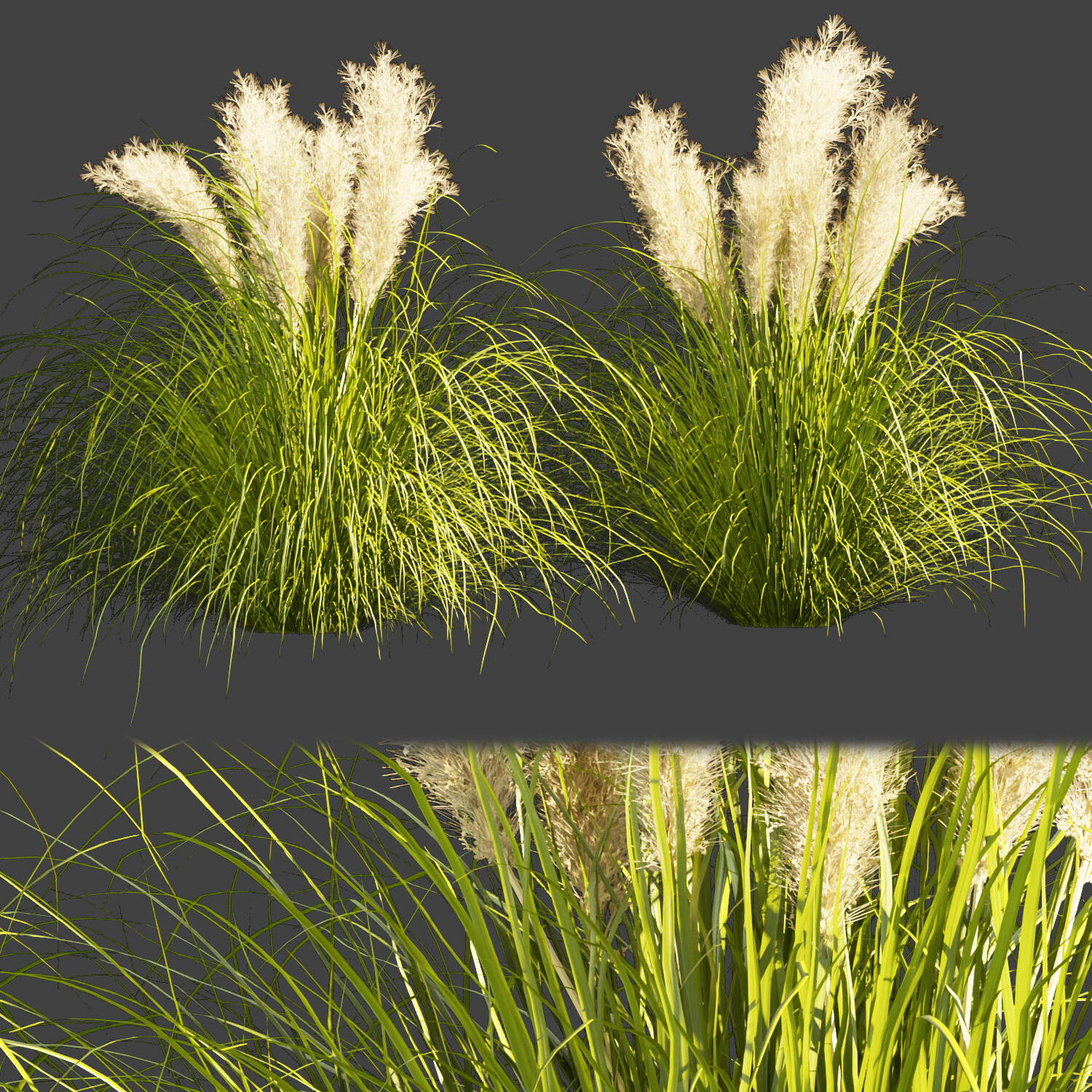 ArtStation - Collection plant vol 385 - grass - outdoor - foliage ...
