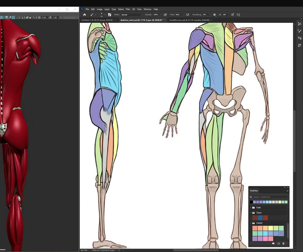 ArtStation - Artistic Anatomy Essentials | Tutorials