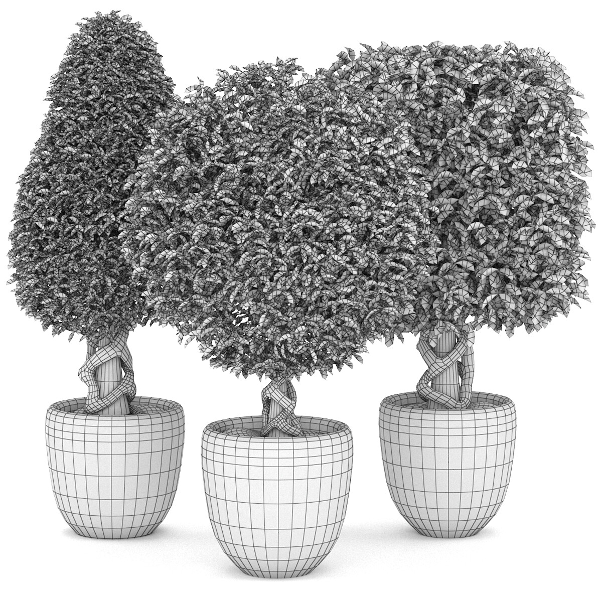 ArtStation - Collection of plants 001 Boxwood trees | Resources