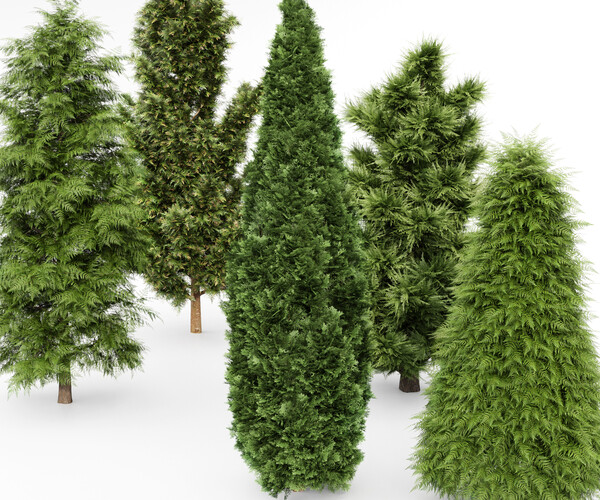 ArtStation - 5 Different tree - Leyland cypress - Slender Hinoki ...