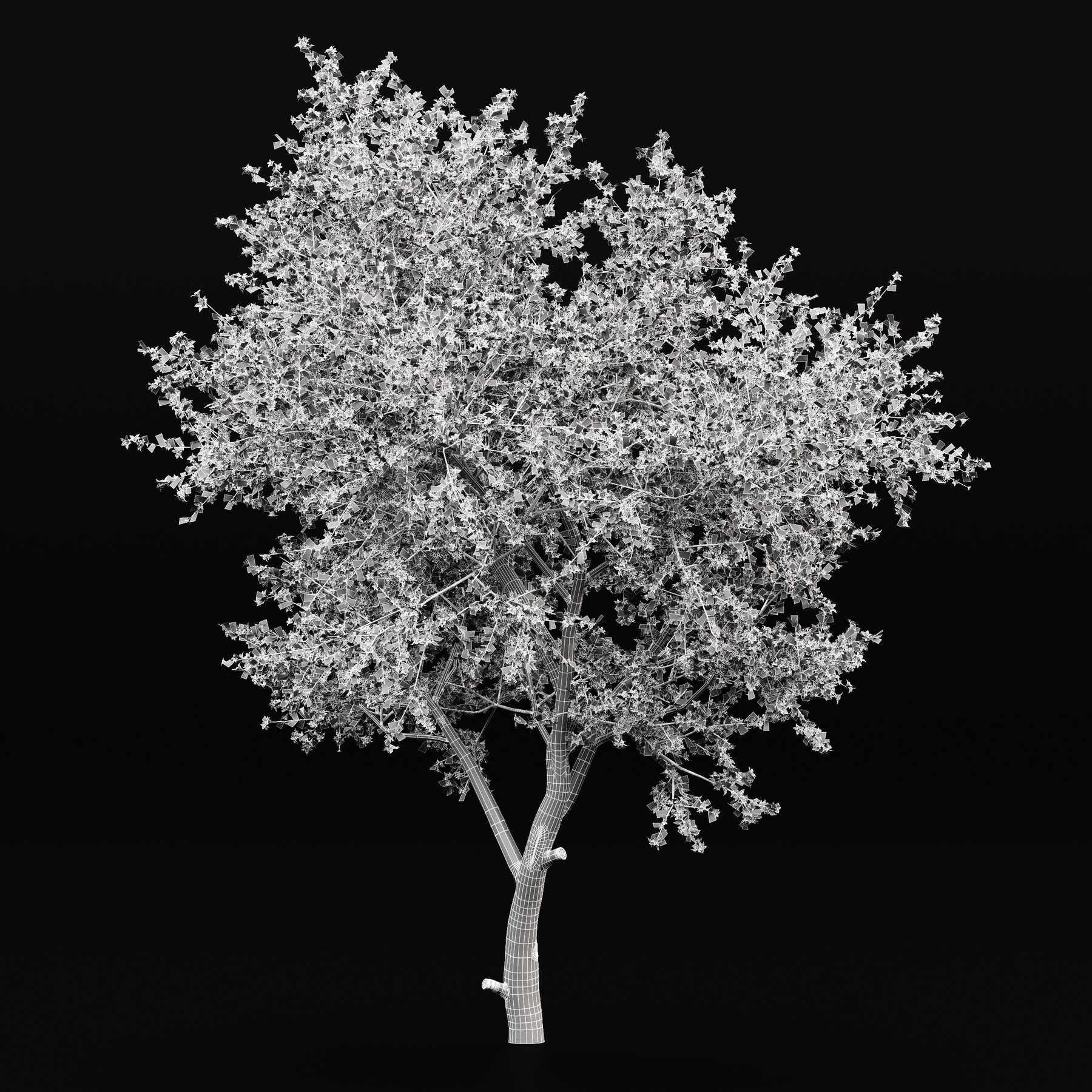 ArtStation - Blooming lemon tree | Resources