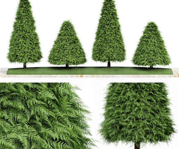 ArtStation - Cone shaped green coniferous - Buxus trees | Resources