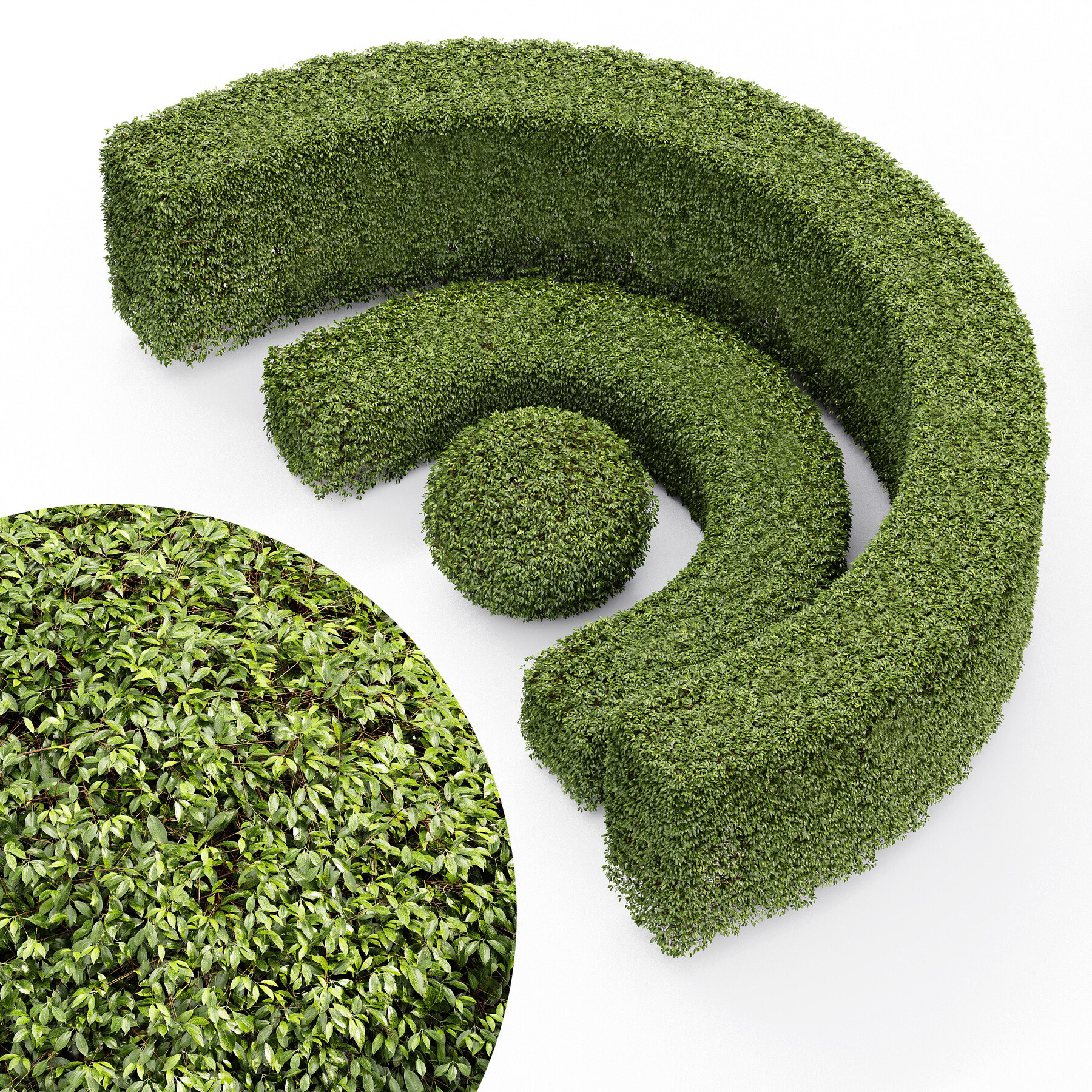 ArtStation - Dwarf Yaupon Holly - Spherical + Box hedge | Resources