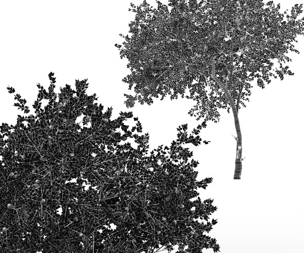 ArtStation - Fruit 2tree Lemon | Resources