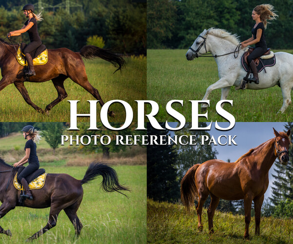 ArtStation - Horses - Reference Photo Pack For Artists 397 JPEGs noAI ...