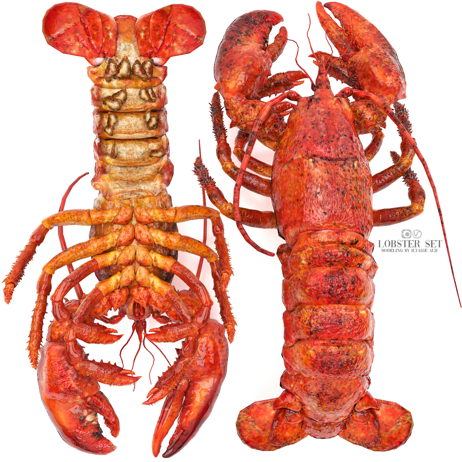 ArtStation - lobster set | Game Assets