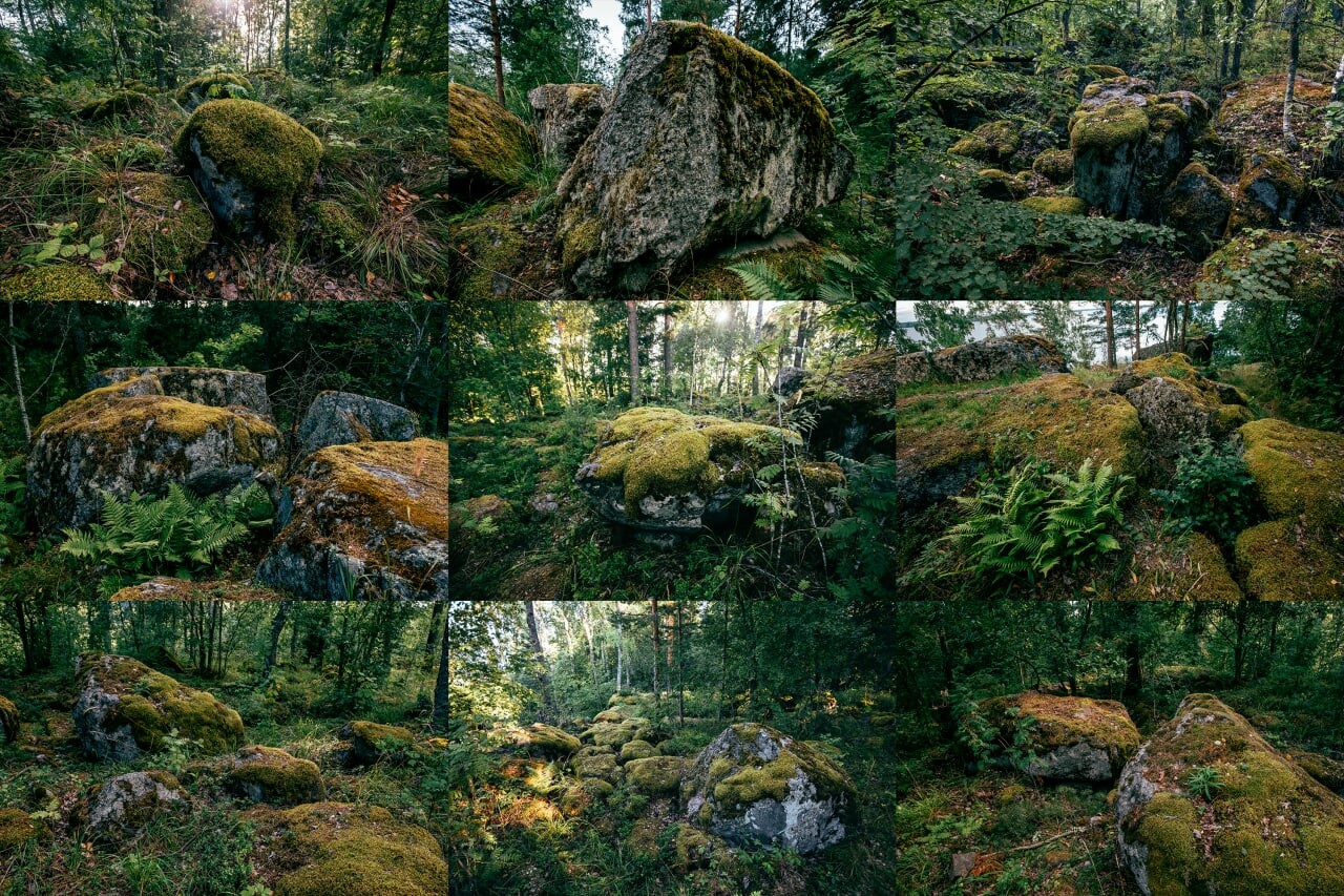 ArtStation - North Island Reference Pictures | Resources