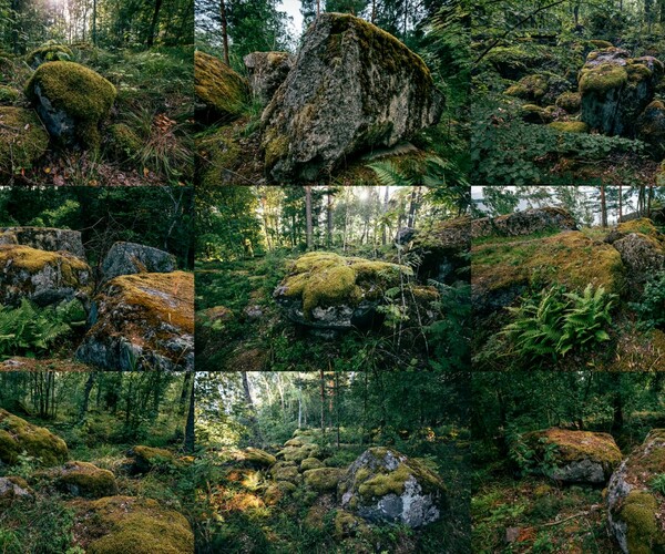 ArtStation - North Island Reference Pictures | Resources