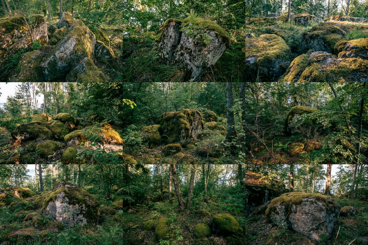 ArtStation - North Island Reference Pictures | Resources