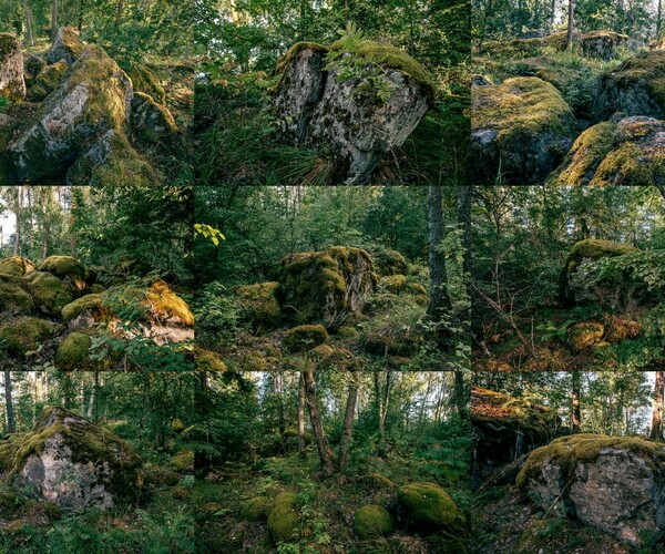 ArtStation - North Island Reference Pictures | Resources