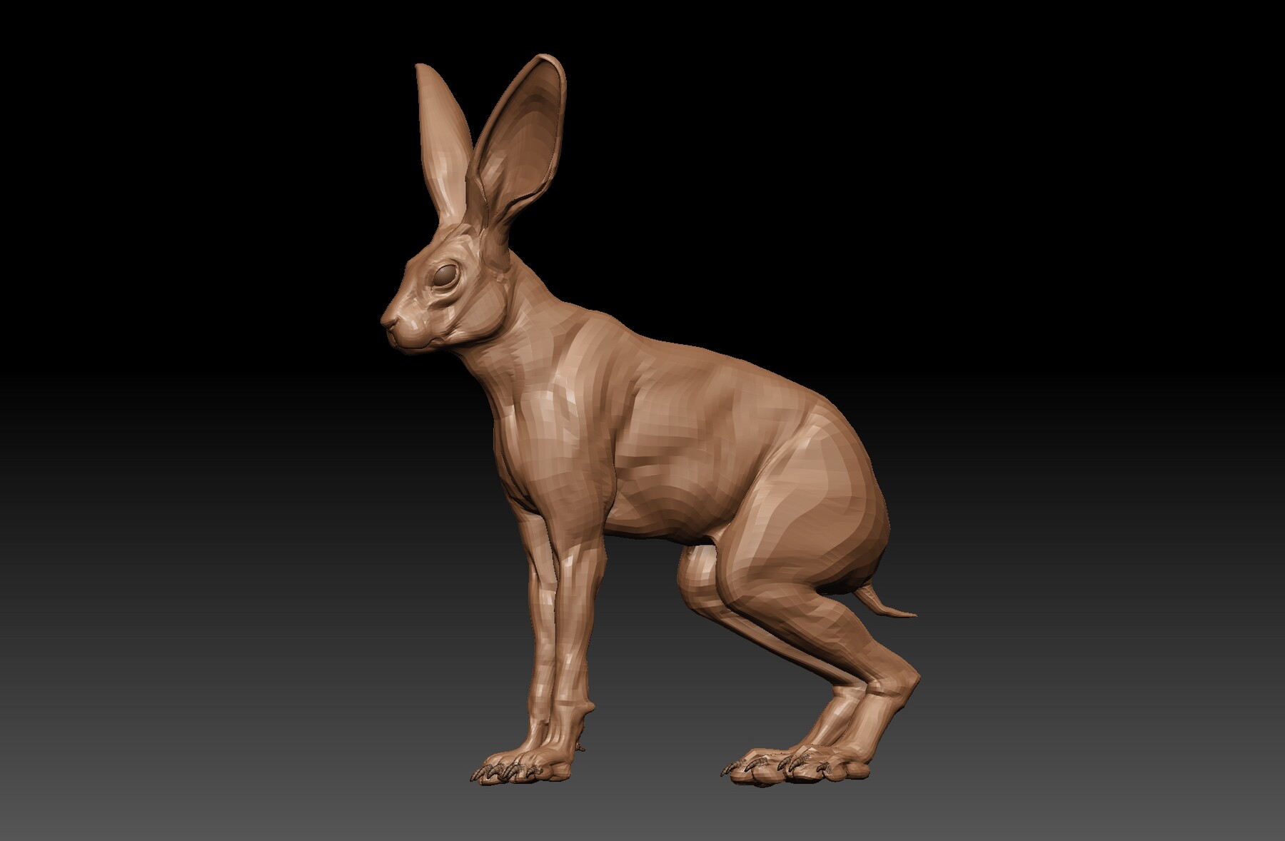 ArtStation - Rabbit/Hare BaseMesh and 3d printable model | Resources