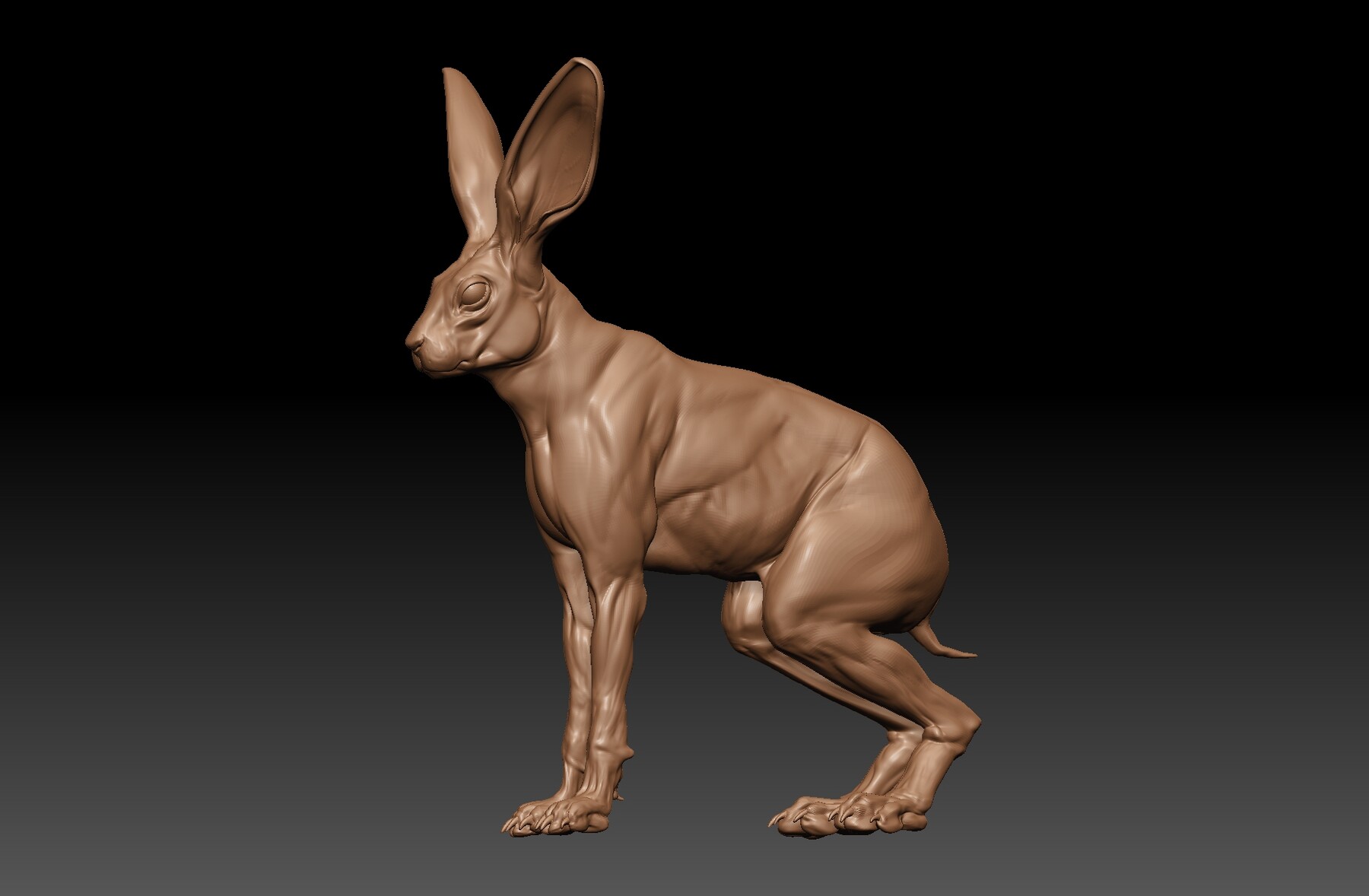 ArtStation - Rabbit/Hare BaseMesh and 3d printable model | Resources