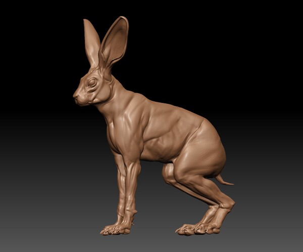 ArtStation - Rabbit/Hare BaseMesh and 3d printable model | Resources