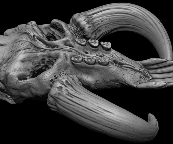 ArtStation - 3D PRINTABLE MYTHOSAUR SKULL AND HORNS PACK - THE ...