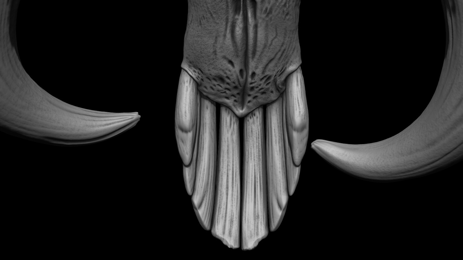 ArtStation - 3D PRINTABLE MYTHOSAUR SKULL AND HORNS PACK - THE ...