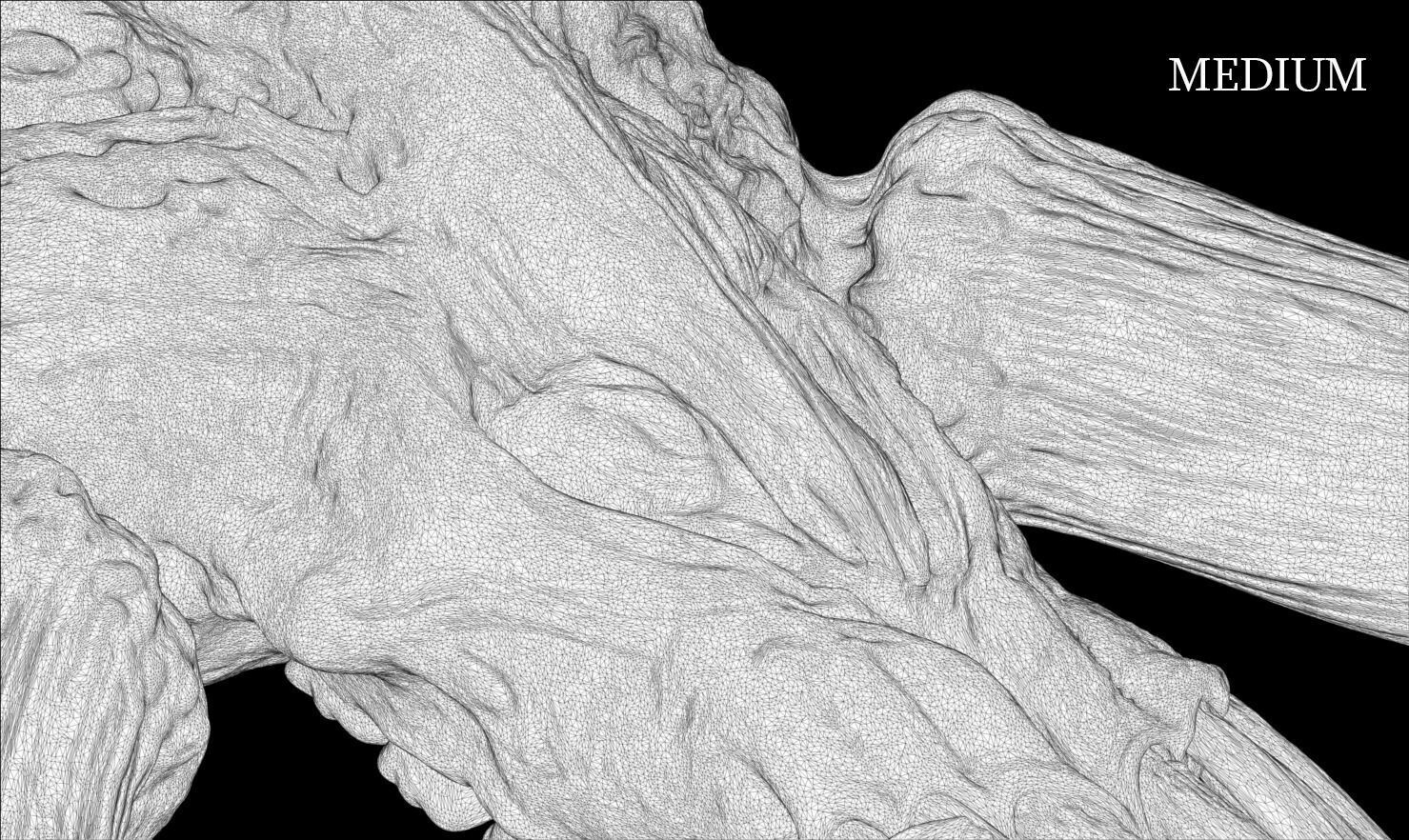 ArtStation - 3D PRINTABLE MYTHOSAUR SKULL AND HORNS PACK - THE ...