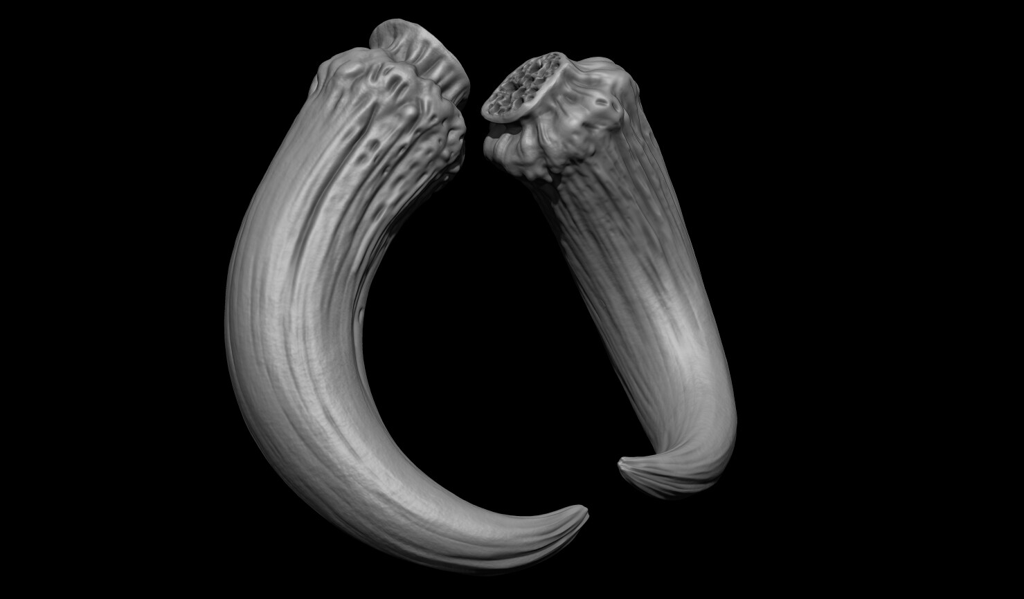 ArtStation - 3D PRINTABLE MYTHOSAUR SKULL AND HORNS PACK - THE ...