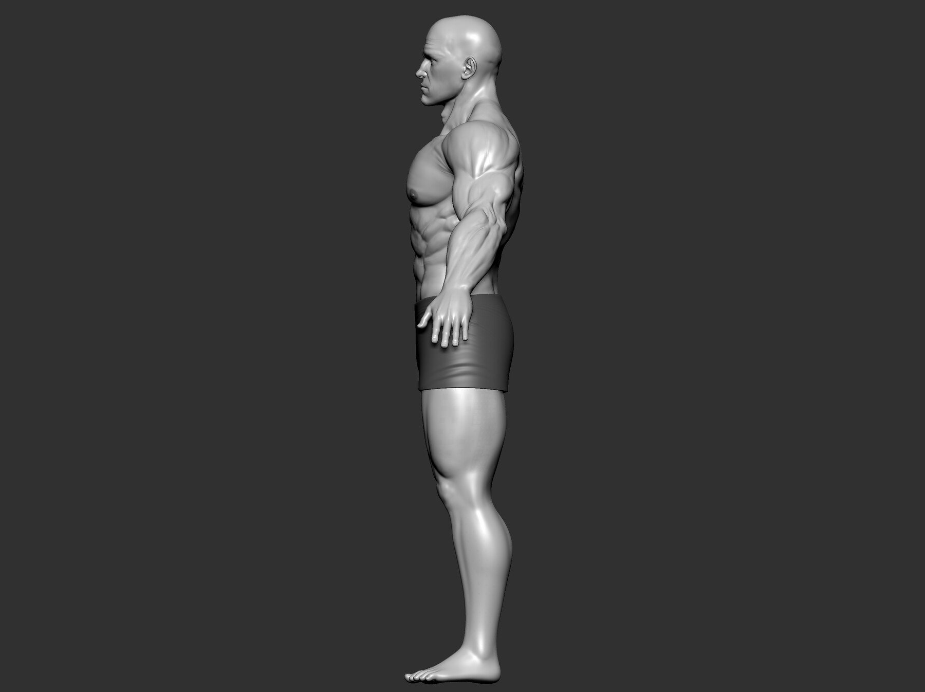 ArtStation - MUSCULAR MAN MASS WITH HIGH AND LOW DIVISIONS... AND ...