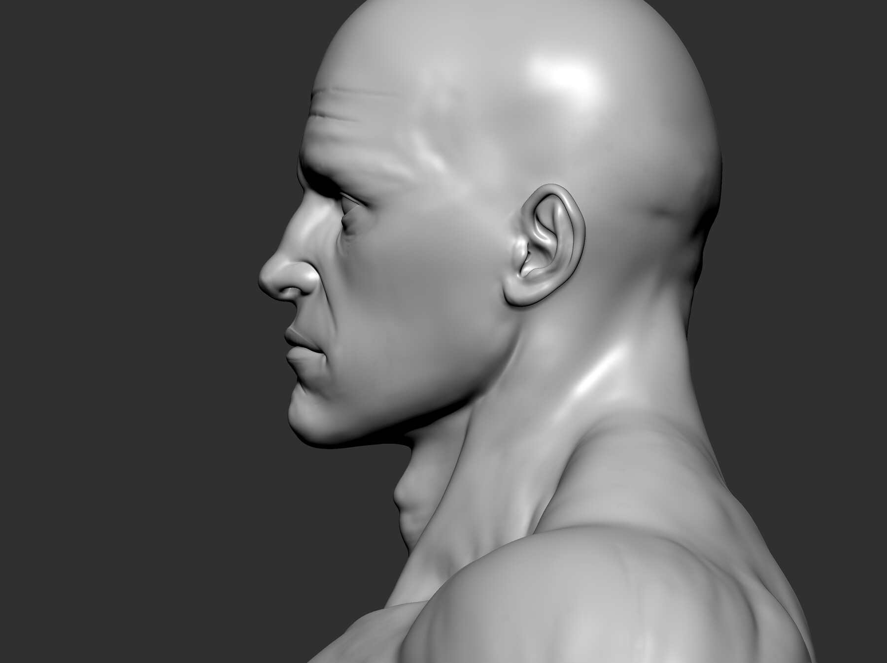 ArtStation - MUSCULAR MAN MASS WITH HIGH AND LOW DIVISIONS... AND ...