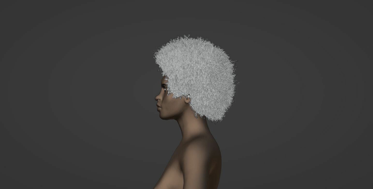ArtStation - Afro Black Hair 3D model | Game Assets