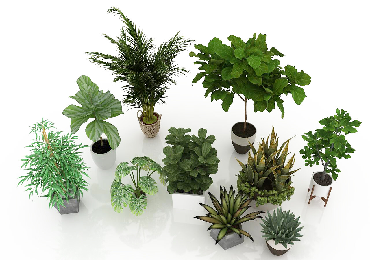 ArtStation - Plant Collection VOL. 2 - Base Mesh | Resources