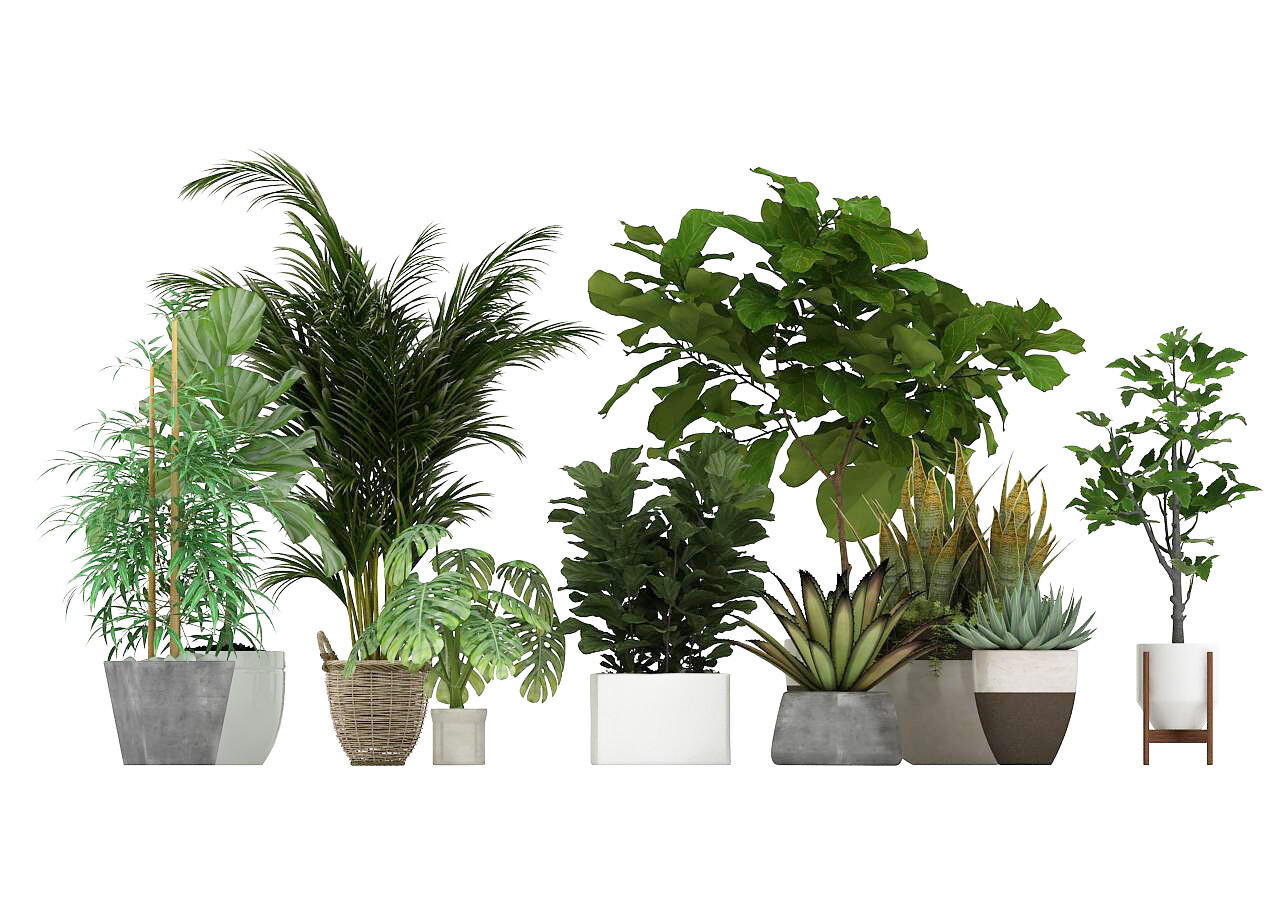 ArtStation - Plant Collection VOL. 2 - Base Mesh | Resources