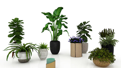 ArtStation - Plant Collection VOL. 2 - Base Mesh | Resources