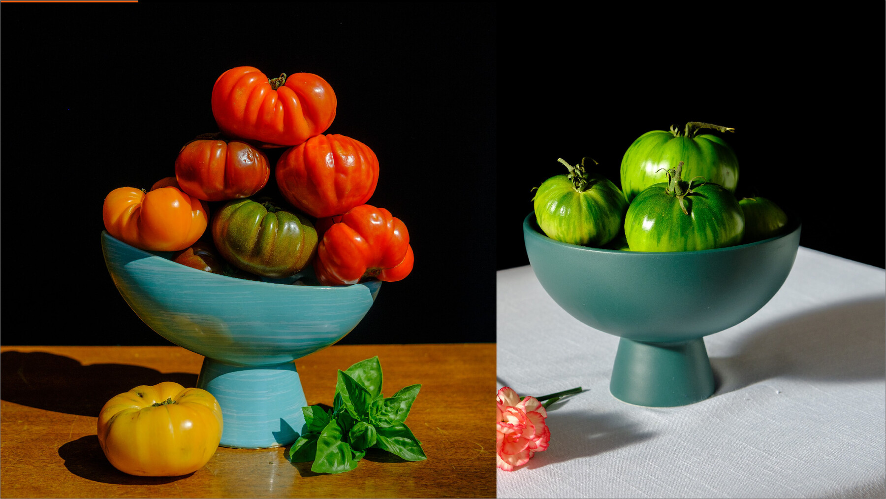 ArtStation - +360 Still Life Photo Reference Pack for Artists | Resources