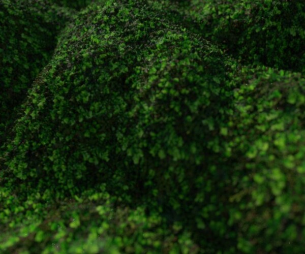 Artstation Redshift Shader C4d Moss V4 Resources