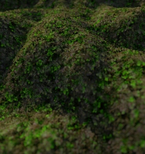 ArtStation - Redshift Shader C4D Moss v4 | Resources