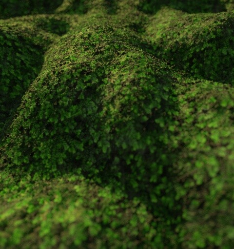 ArtStation - Redshift Shader C4D Moss v4 | Resources