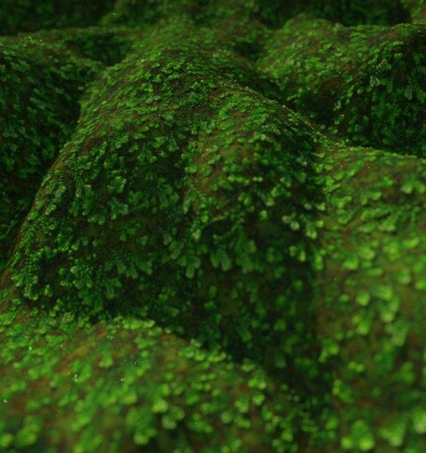 ArtStation - Redshift Shader C4D Moss v4 | Resources