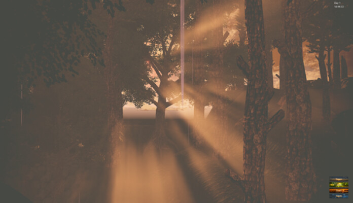 ArtStation - light_in_the_forrest | Game Assets